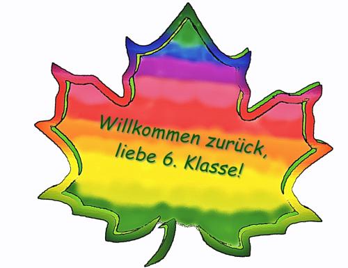 Primarstufe P6g — Primarschule Zehntenhof